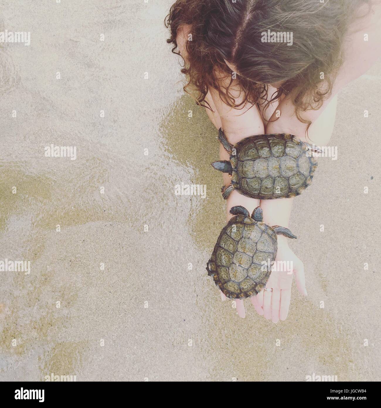 Woman kneeling on the beach holding two sea turtles, Orange County ...