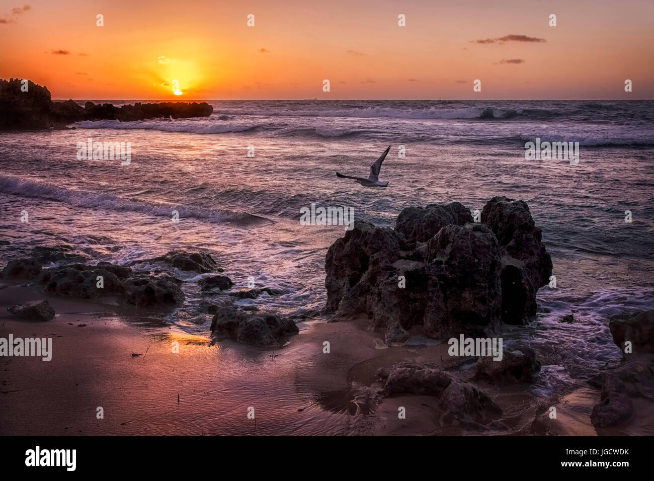 Australia beach sunset rock hi-res stock photography and images - Alamy