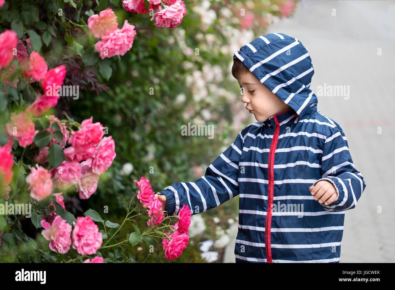 Sensory garden in hi-res stock photography and images - Alamy