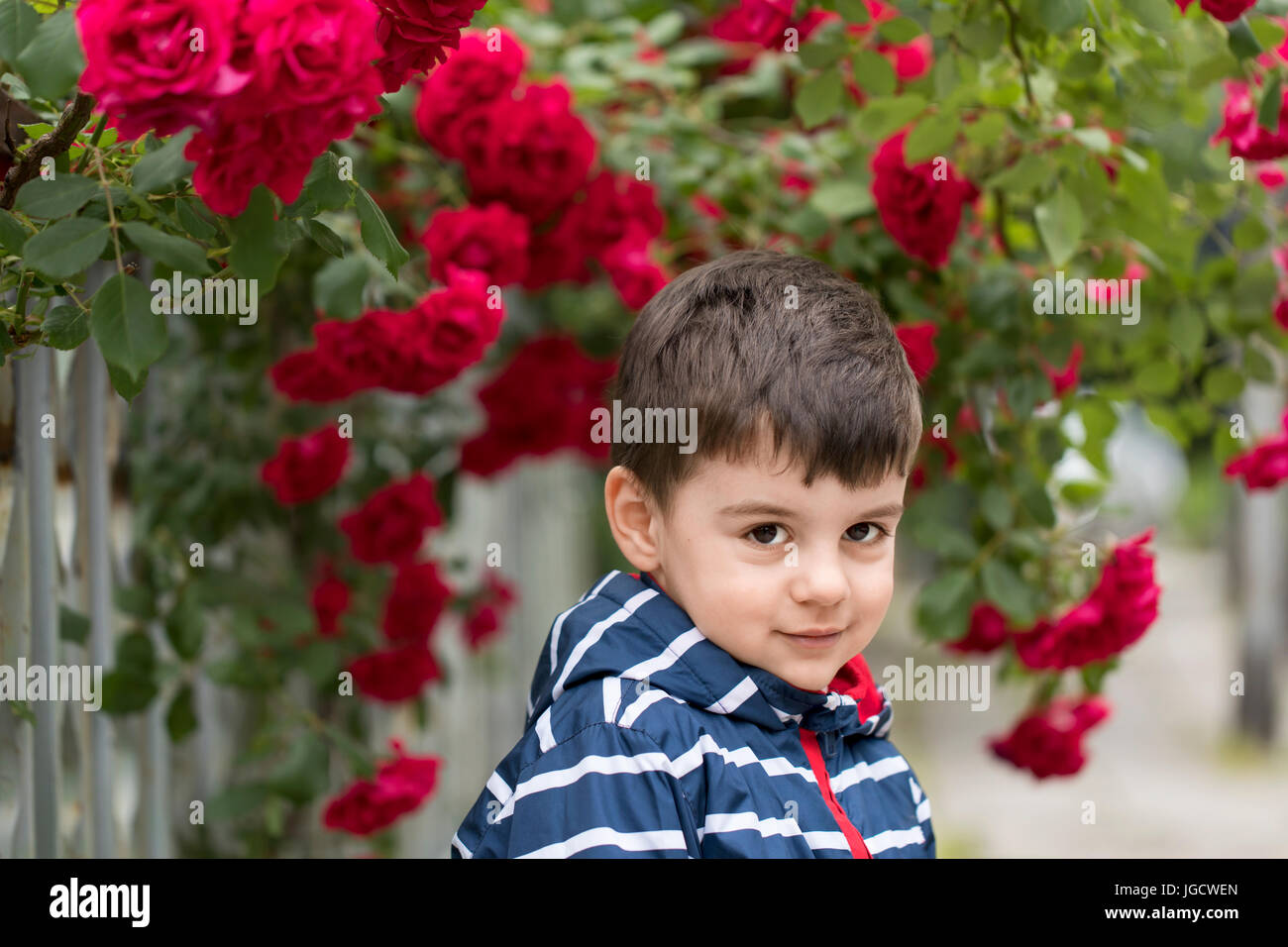 Boy with roses hi-res stock photography and images - Alamy