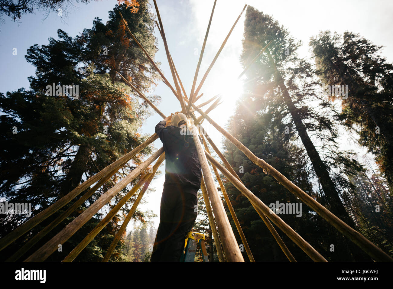 Man Building Tipi Structure, Sequoia National Forest, California ...