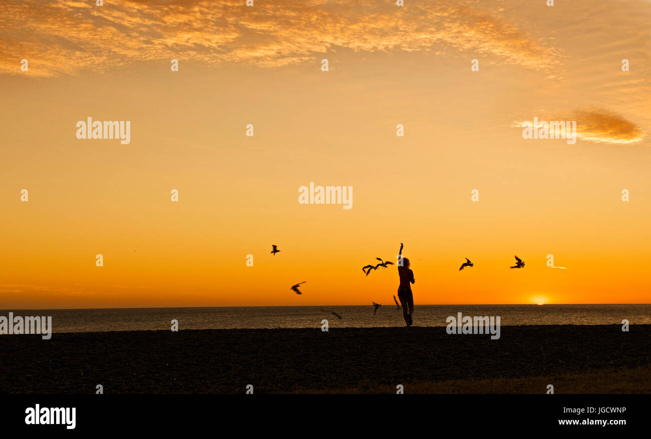 Woman birds arm hi-res stock photography and images - Alamy