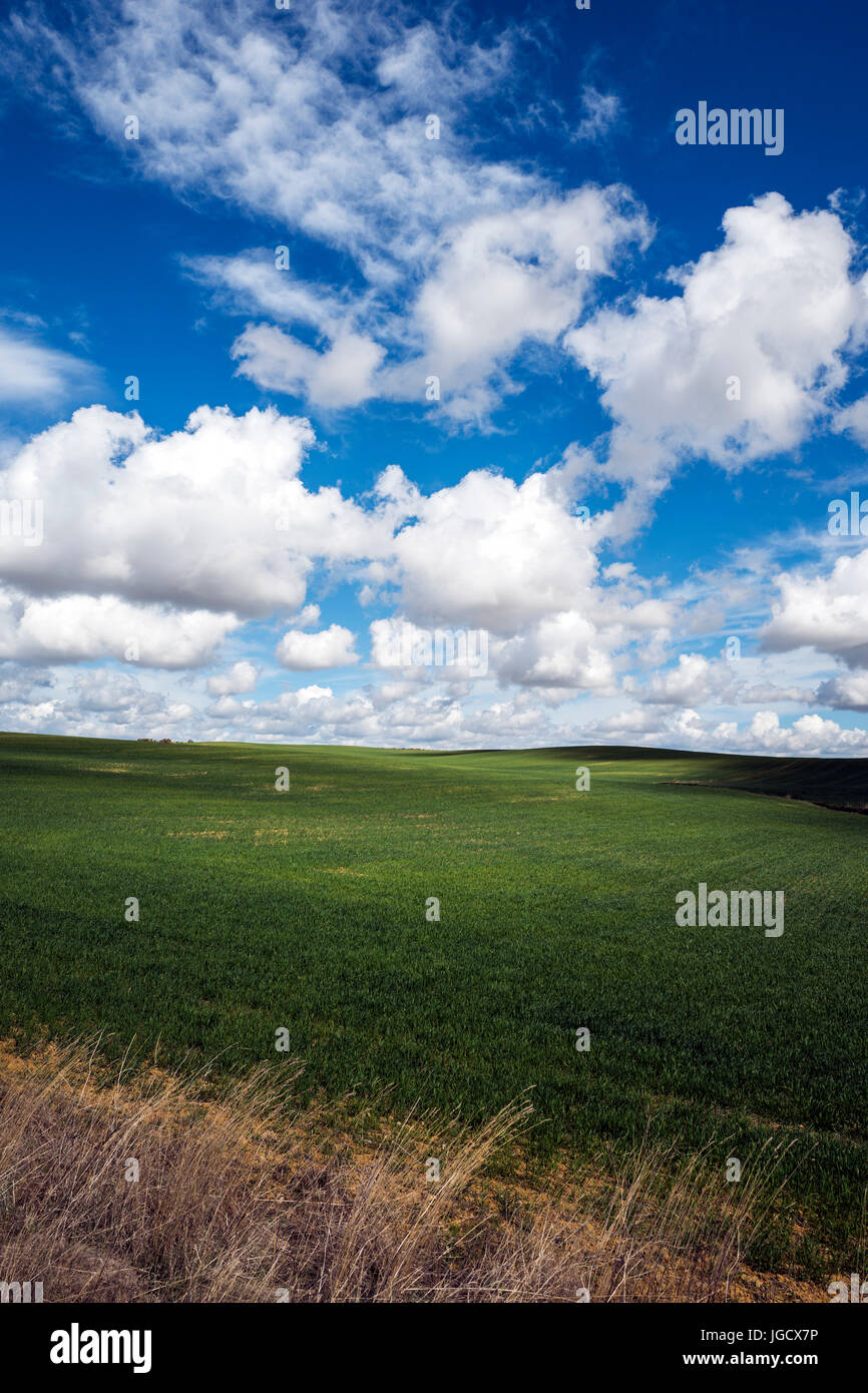 Rural landscape, Spain Stock Photo - Alamy