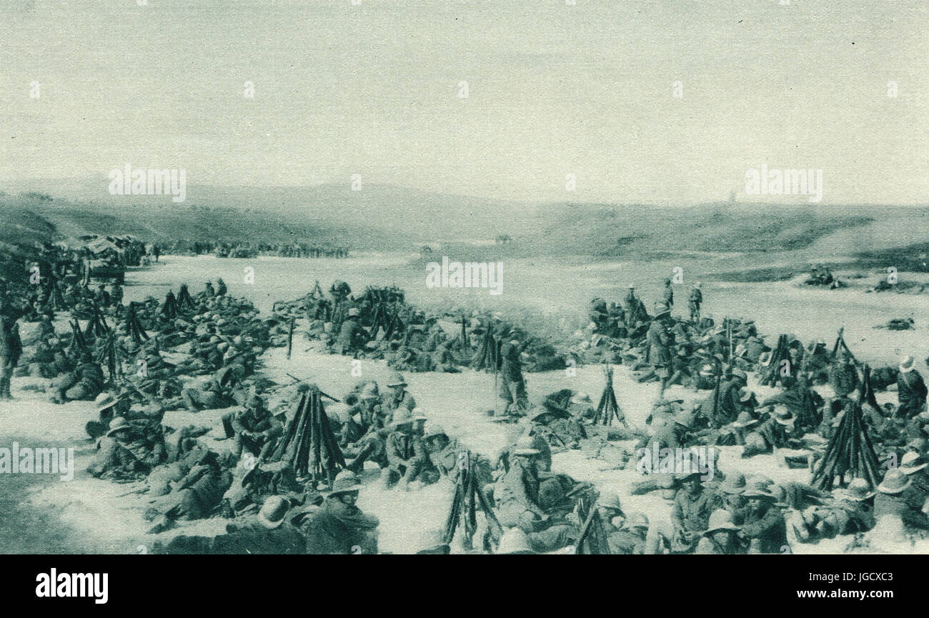 The history of gaza hi-res stock photography and images - Alamy