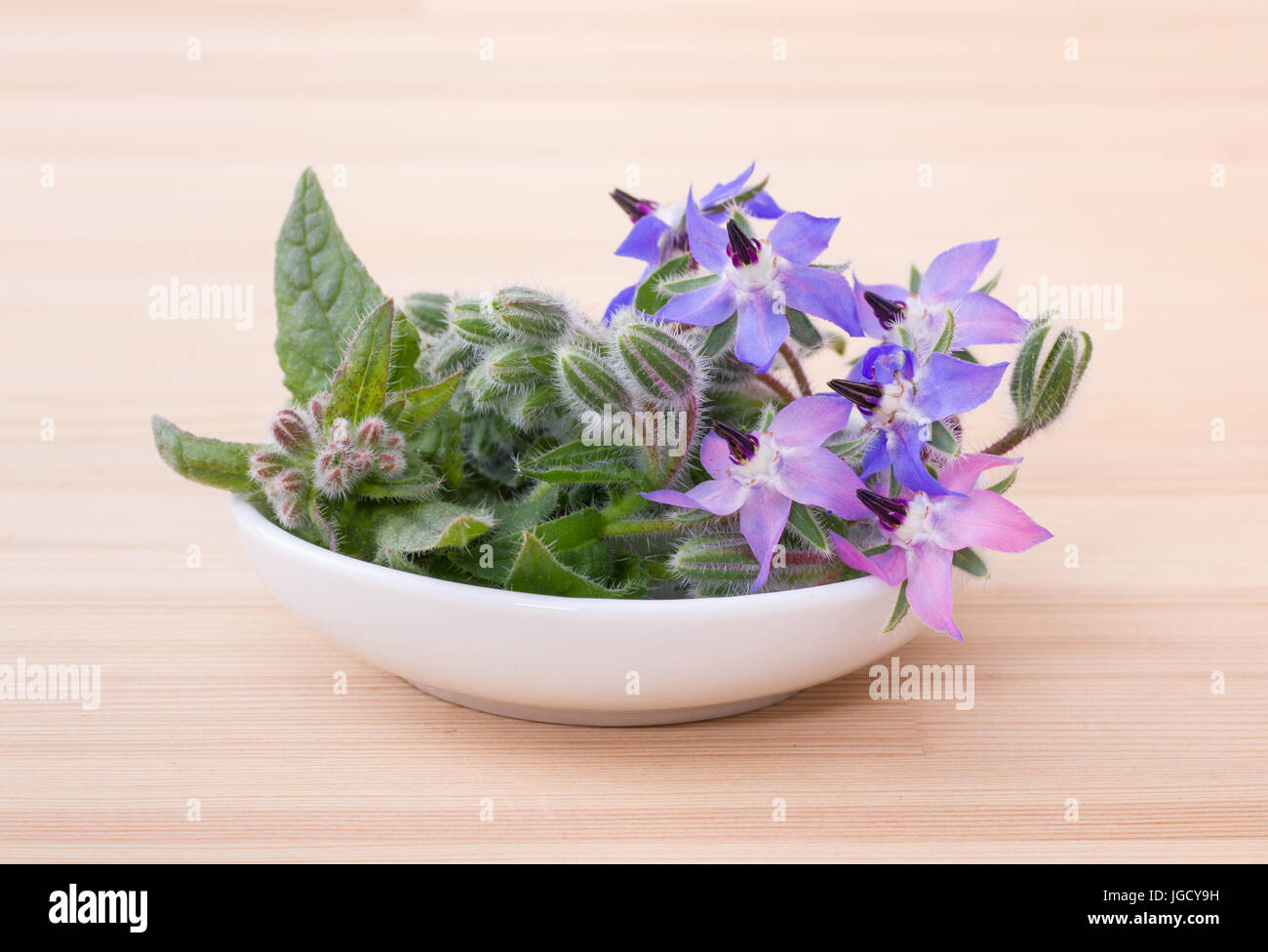 Board wild medicinal plant hi-res stock photography and images - Alamy