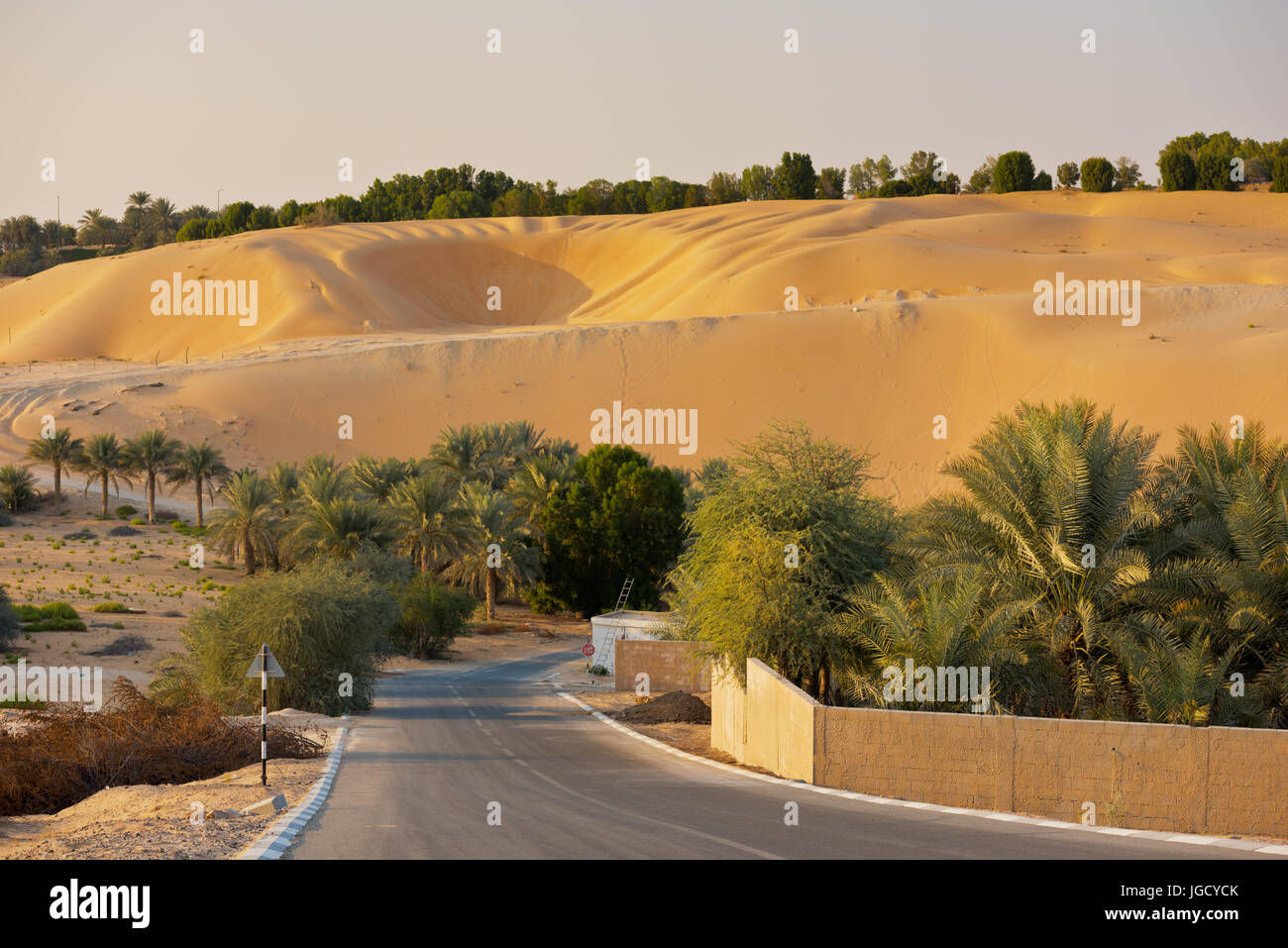 Desert dunes in Liwa oasis, Abu Dhabi, United Arab Emirates Stock Photo ...