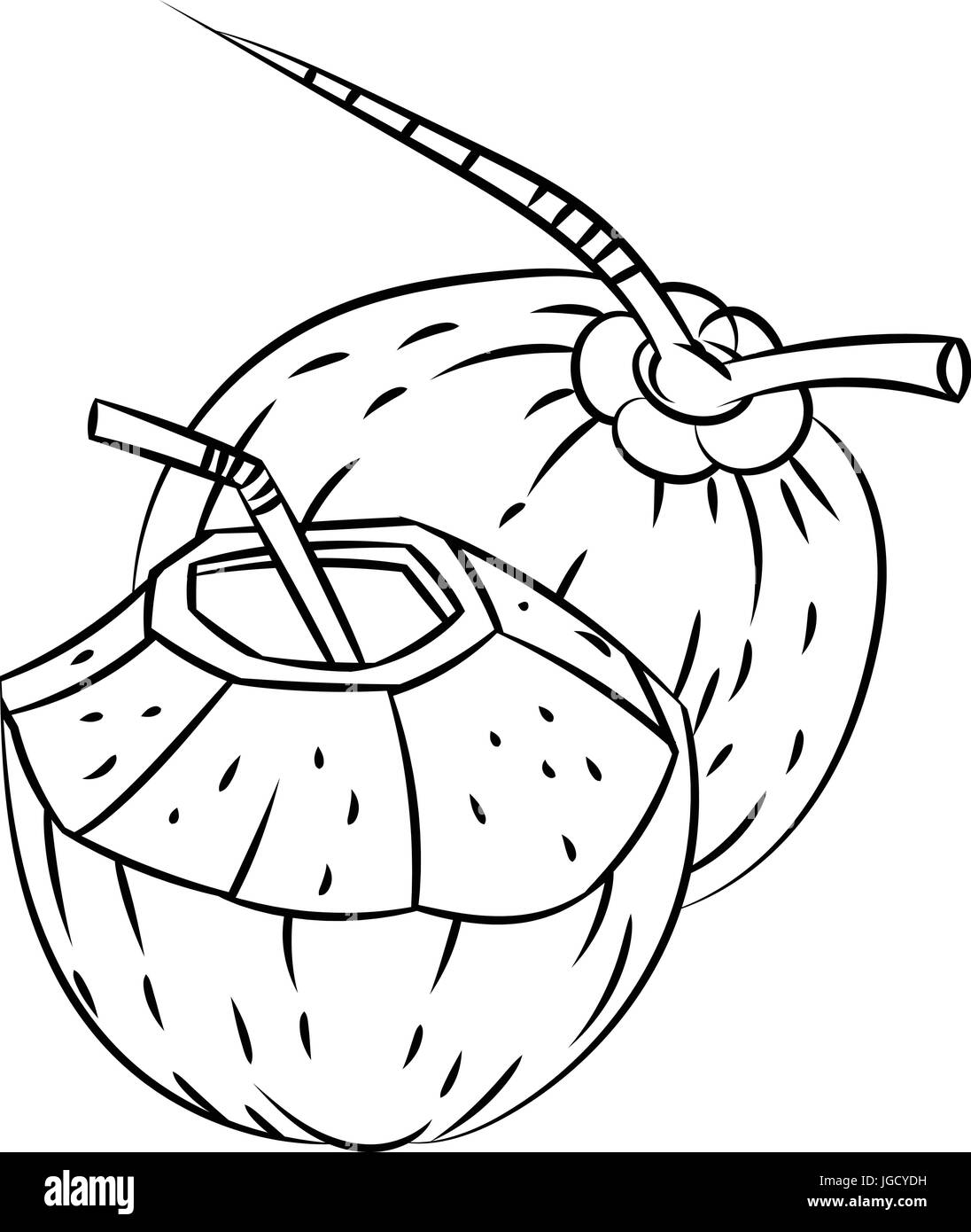 Hand drawn sketch of Coconut and Coconut Water isolated, Black and ...