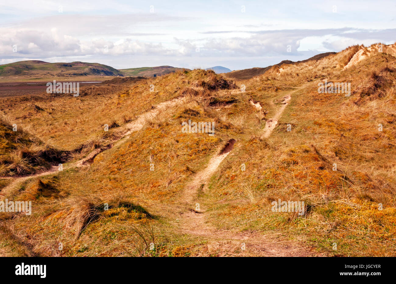 Sand dunes on the way to Tramore Beach, Dunfanaghy, County Donegal ...
