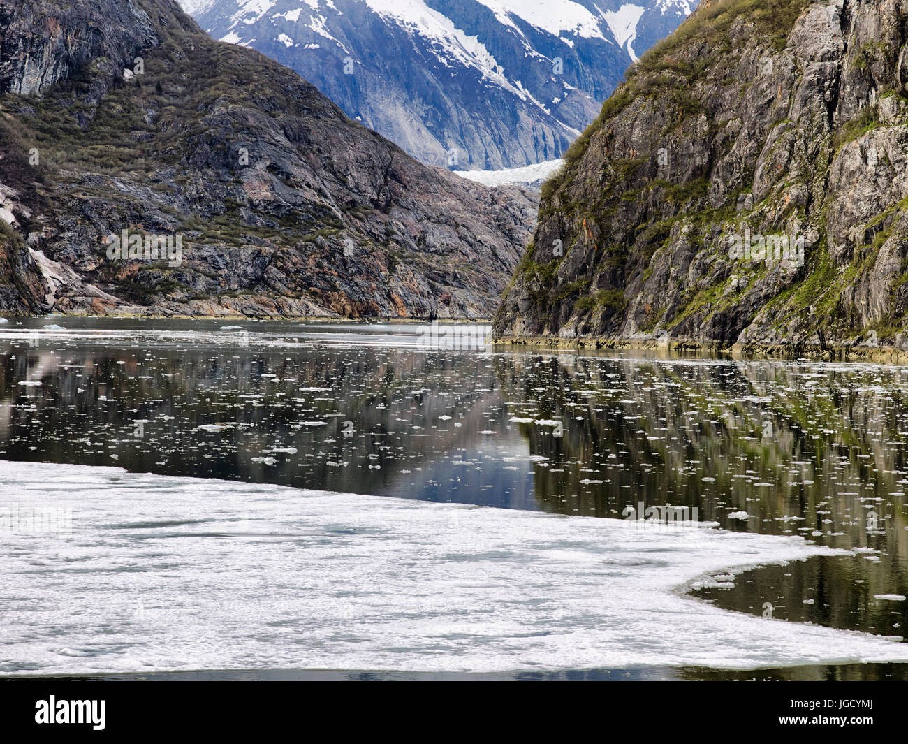 Alaska coastal temperate rainforest hi-res stock photography and images ...