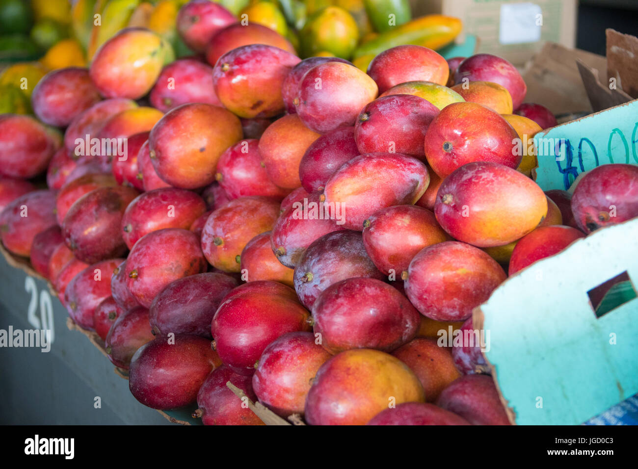 Africa Mozambique Fruit Stock Photos & Africa Mozambique Fruit Stock ...
