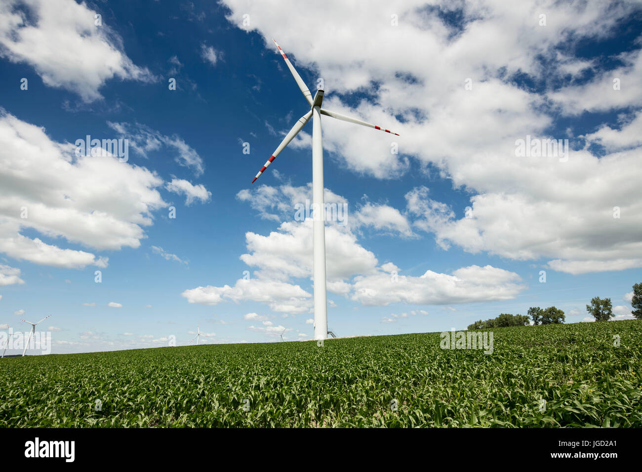 Renewable energy. Farm of wind turbines on the corn field Stock Photo ...