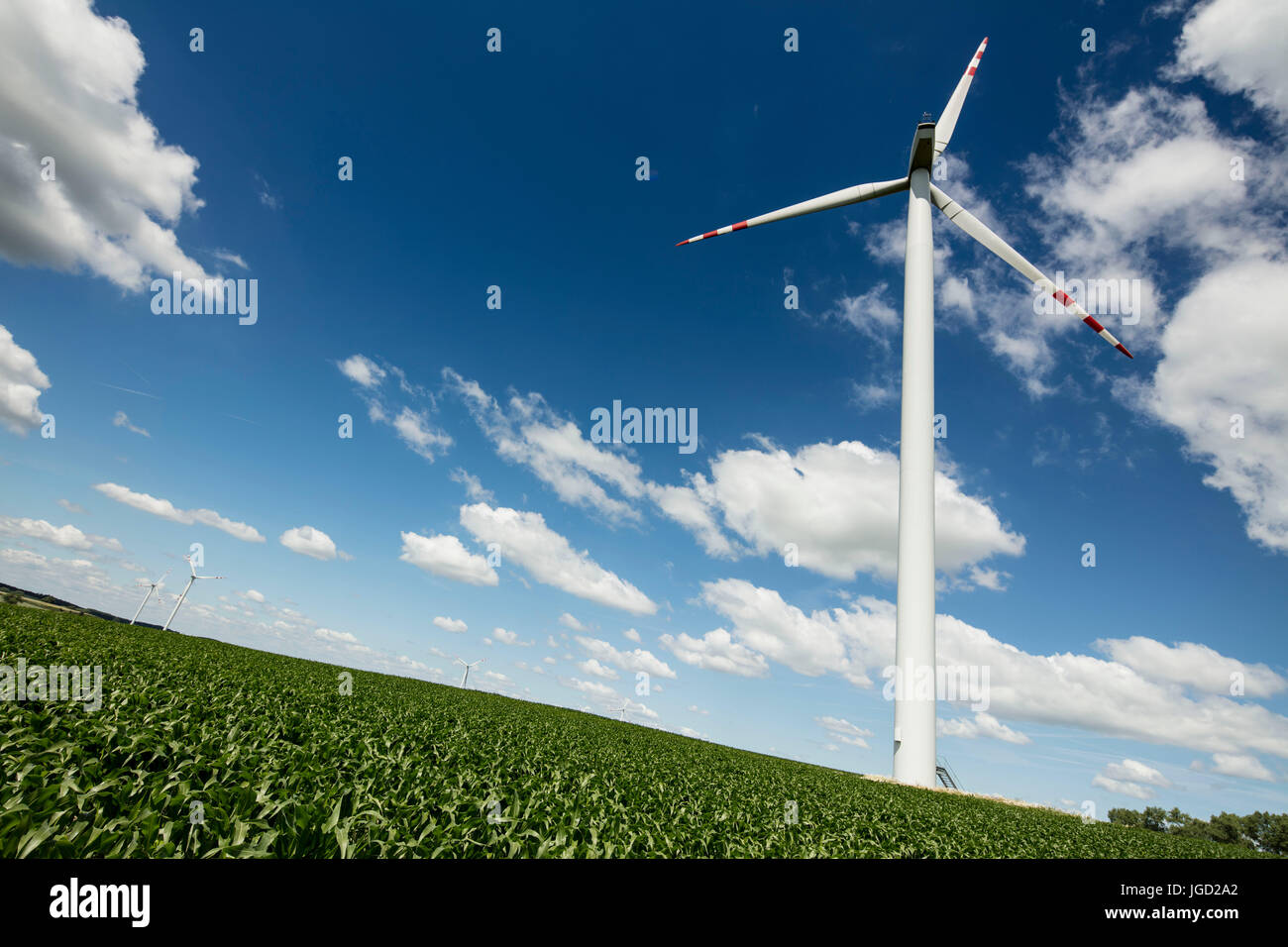 Renewable energy. Farm of wind turbines on the corn field Stock Photo ...