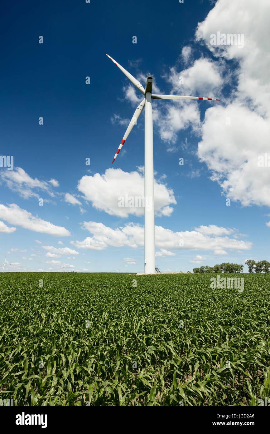 Renewable energy. Farm of wind turbines on the corn field Stock Photo ...