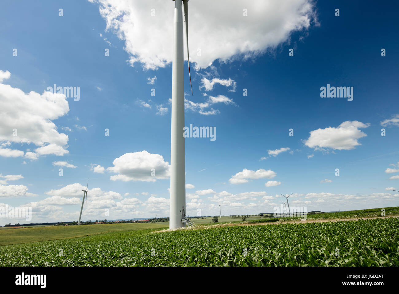 Renewable energy. Farm of wind turbines on the corn field Stock Photo ...