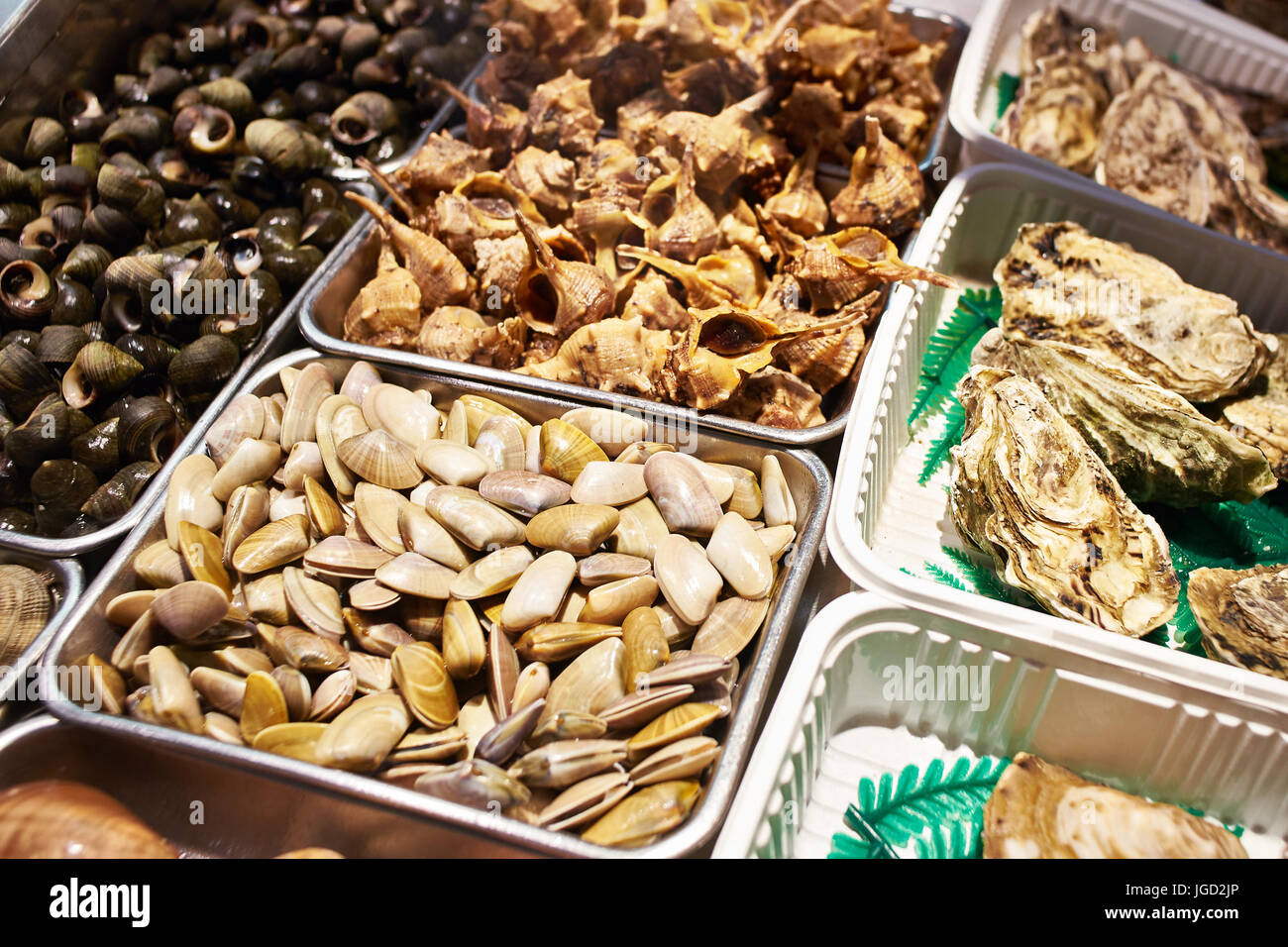 Rapans, oysters and other shellfish on the store shelves Stock Photo ...