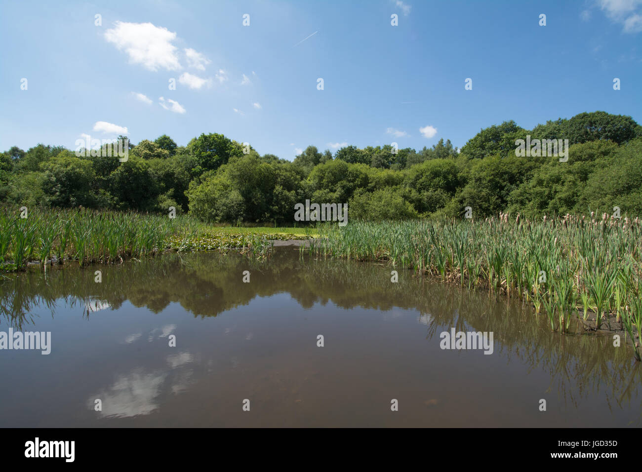 Yateley common country park hi-res stock photography and images - Alamy