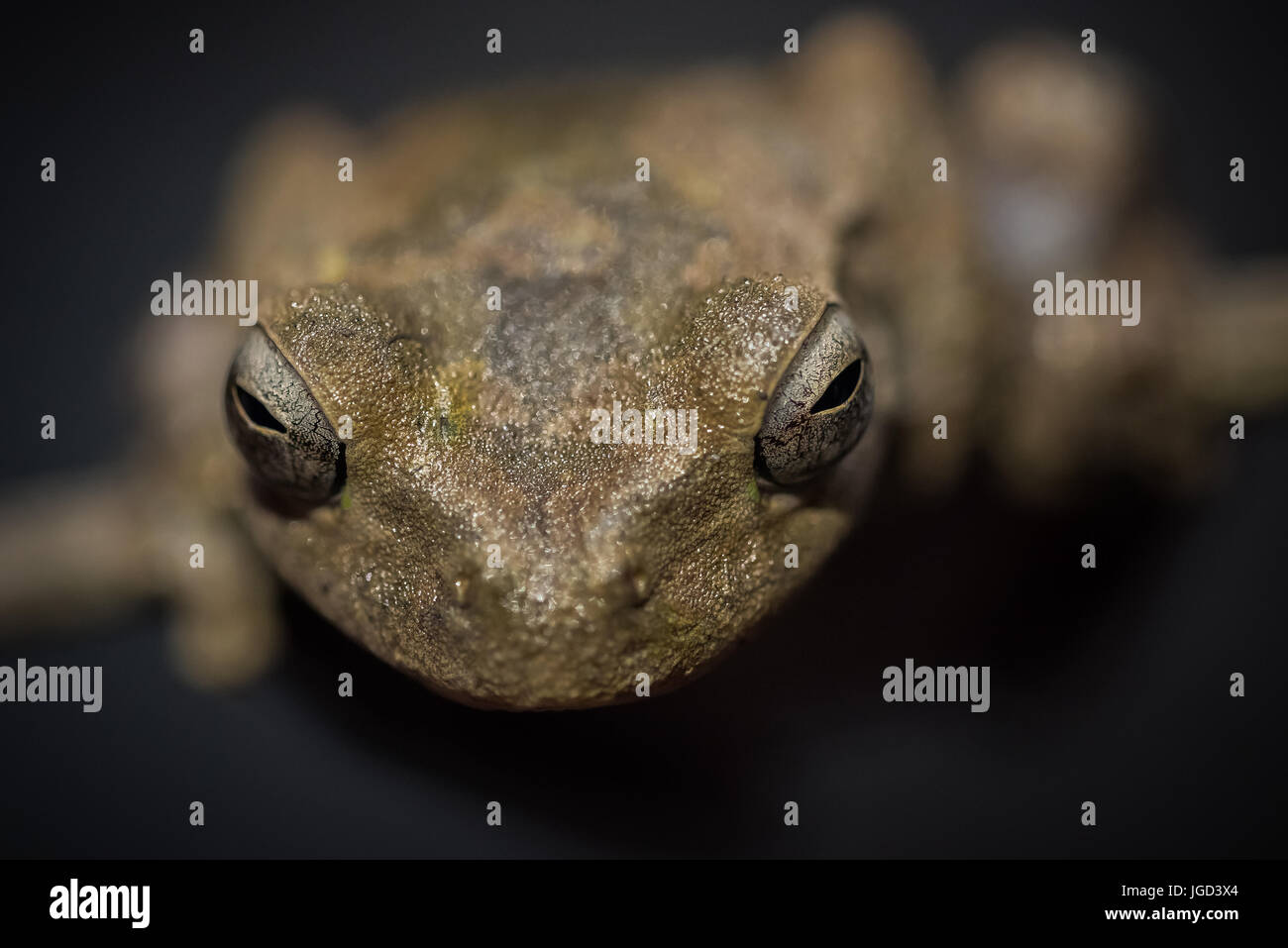 Winter almost over Stock Photo - Alamy