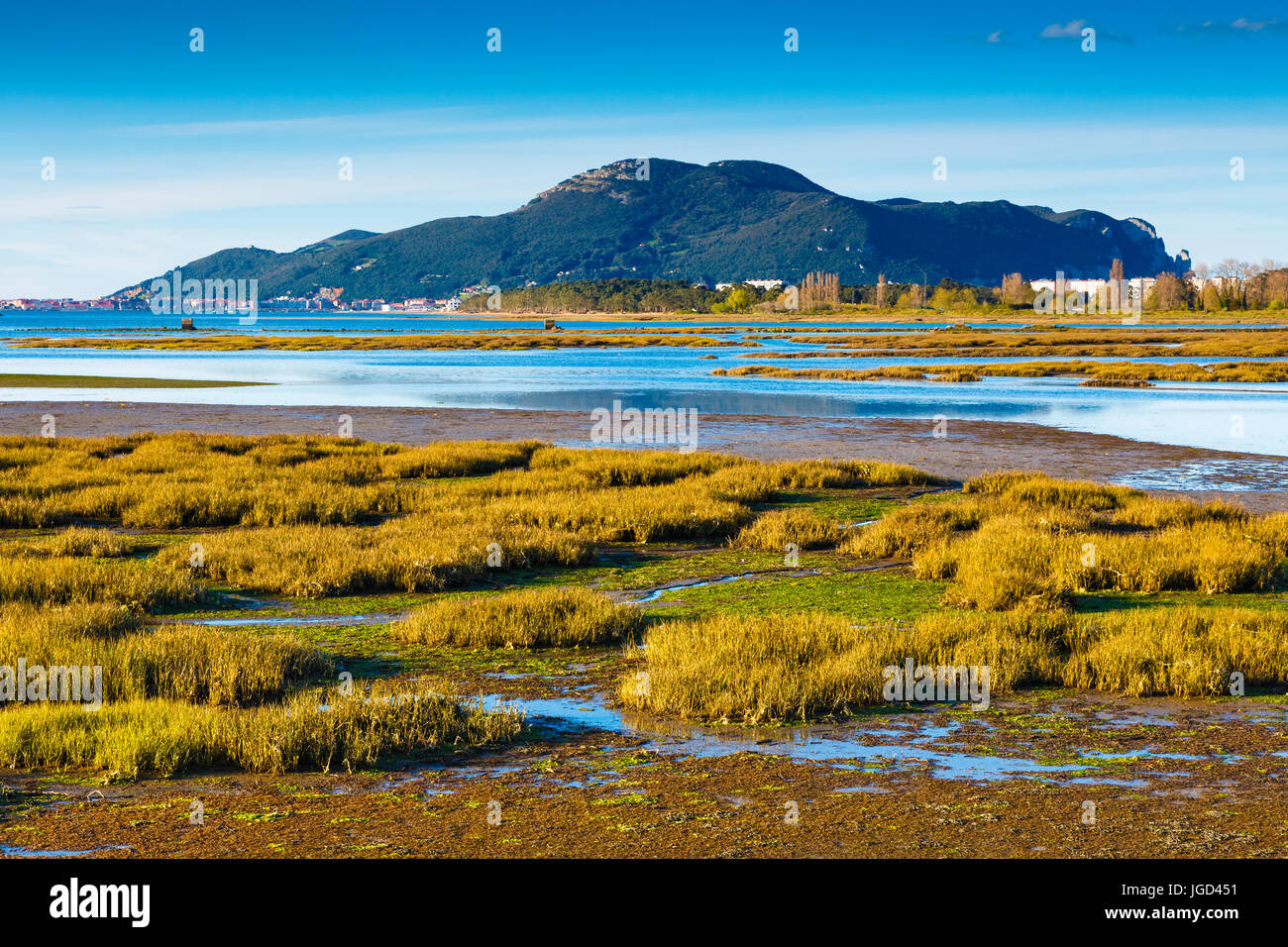 Salt marshes landscape Stock Photo - Alamy