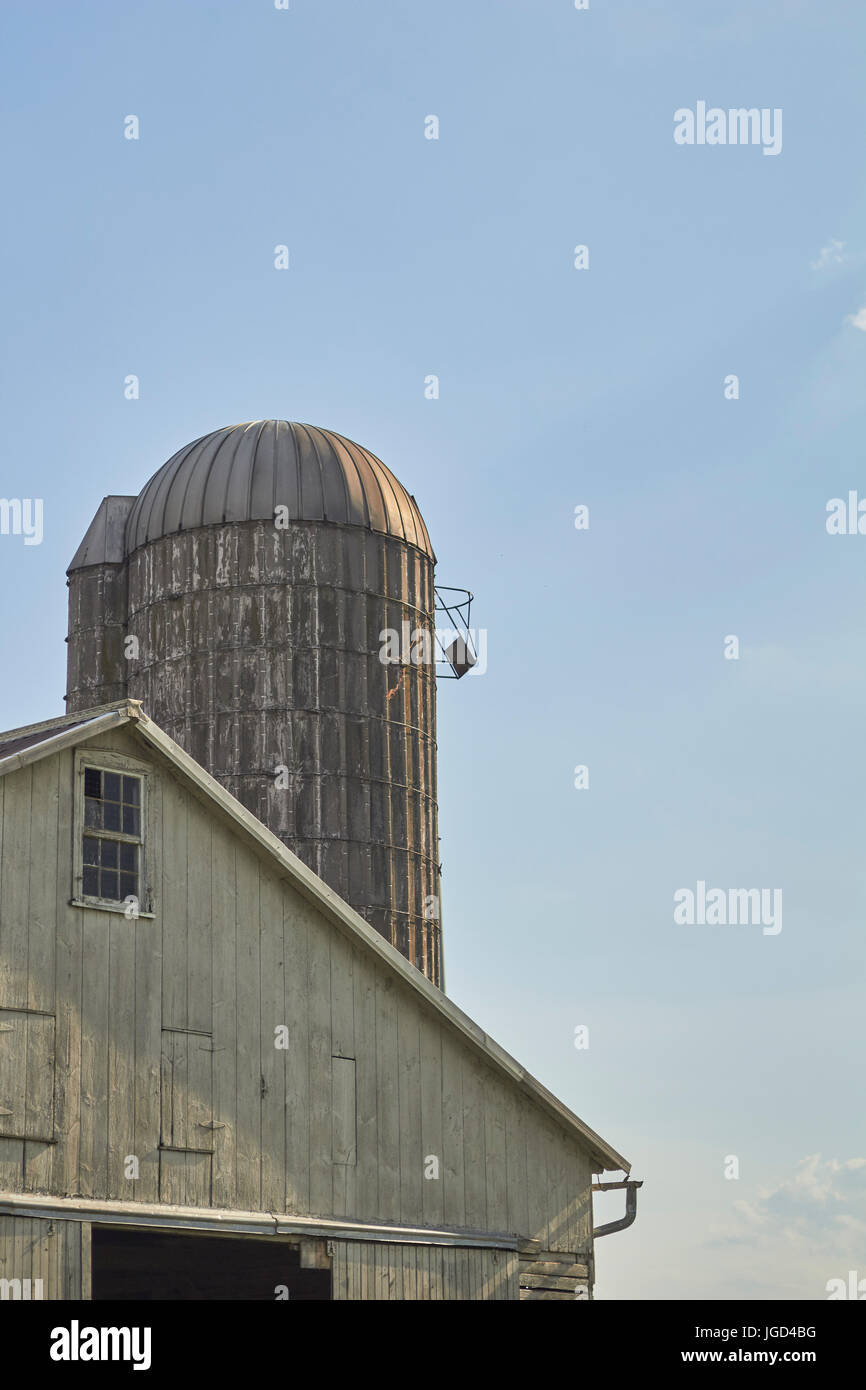 An Amish white barn with a corn storage silo Stock Photo - Alamy