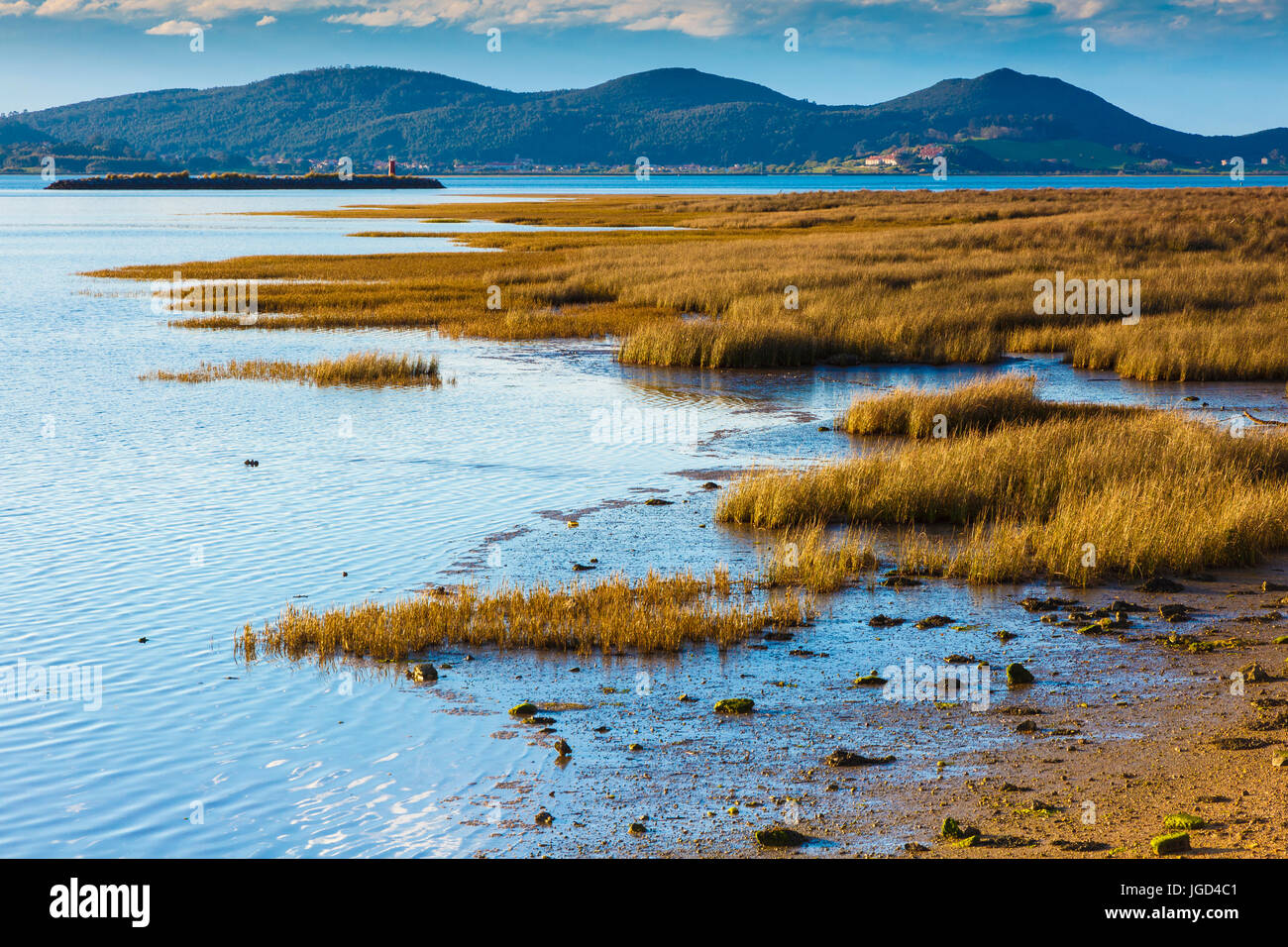 Salt marshes landscape Stock Photo - Alamy