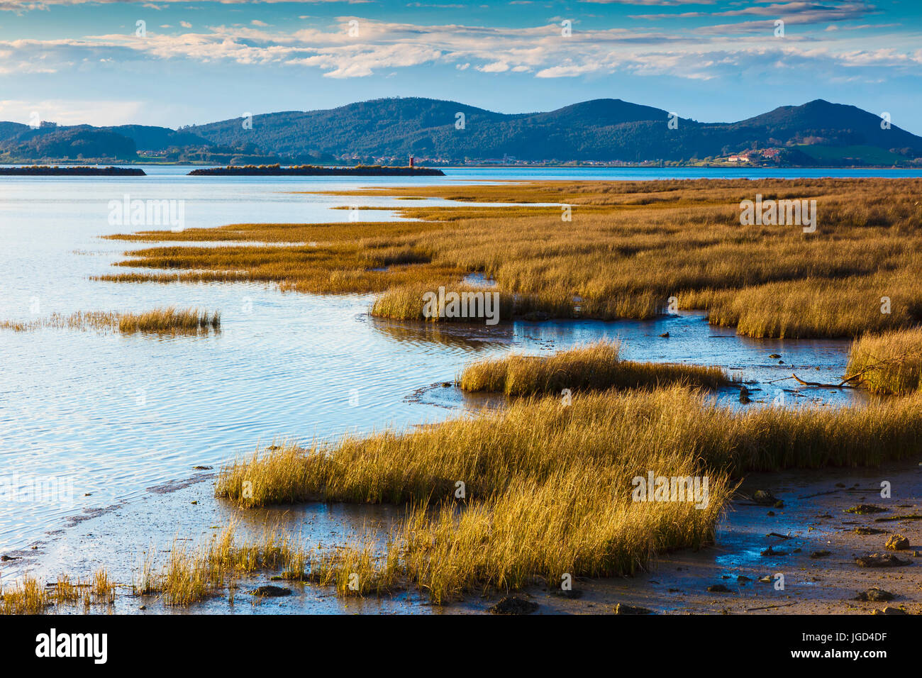 Salt marshes landscape Stock Photo - Alamy