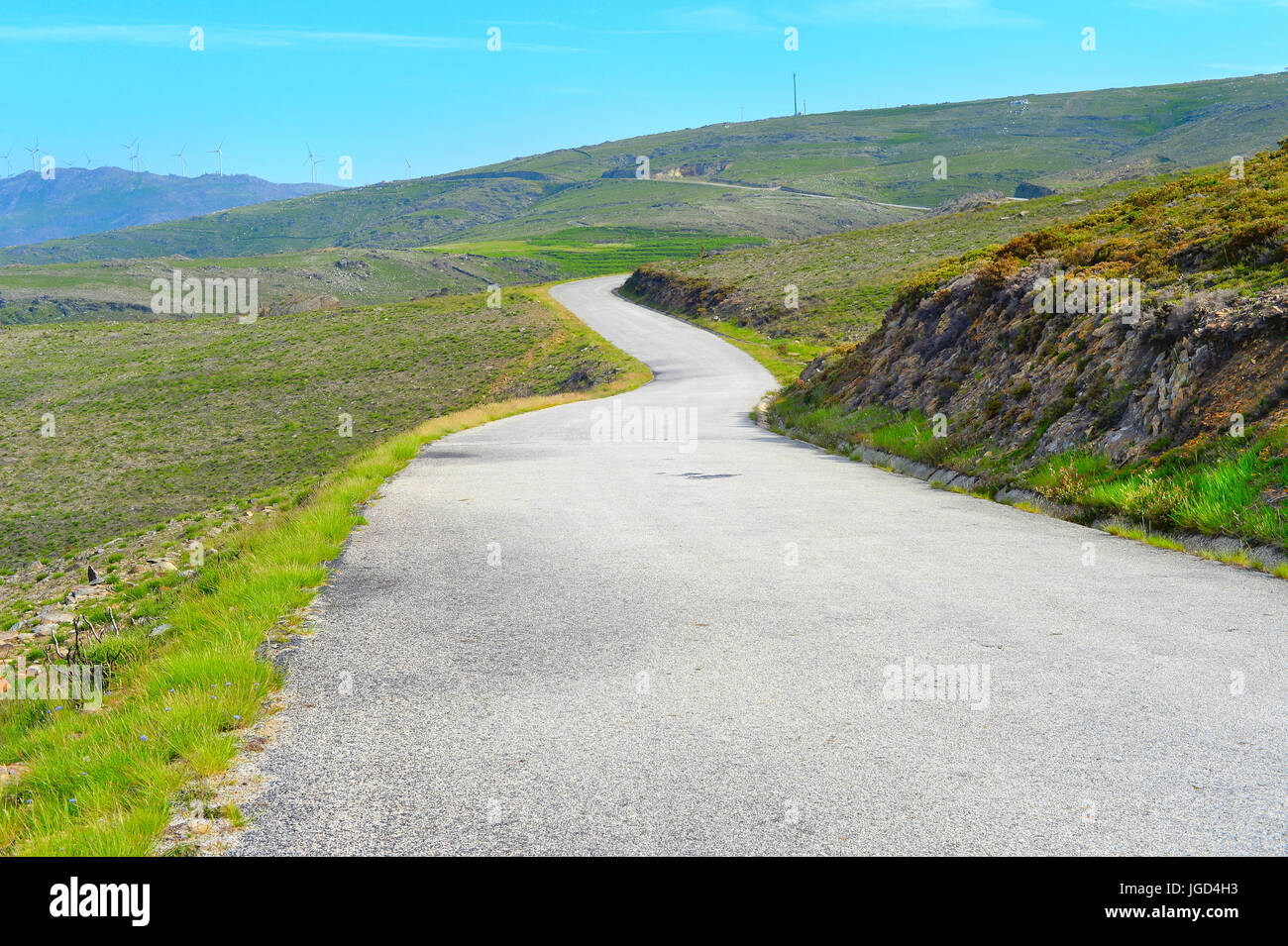 Empty road mountains trees hi-res stock photography and images - Alamy