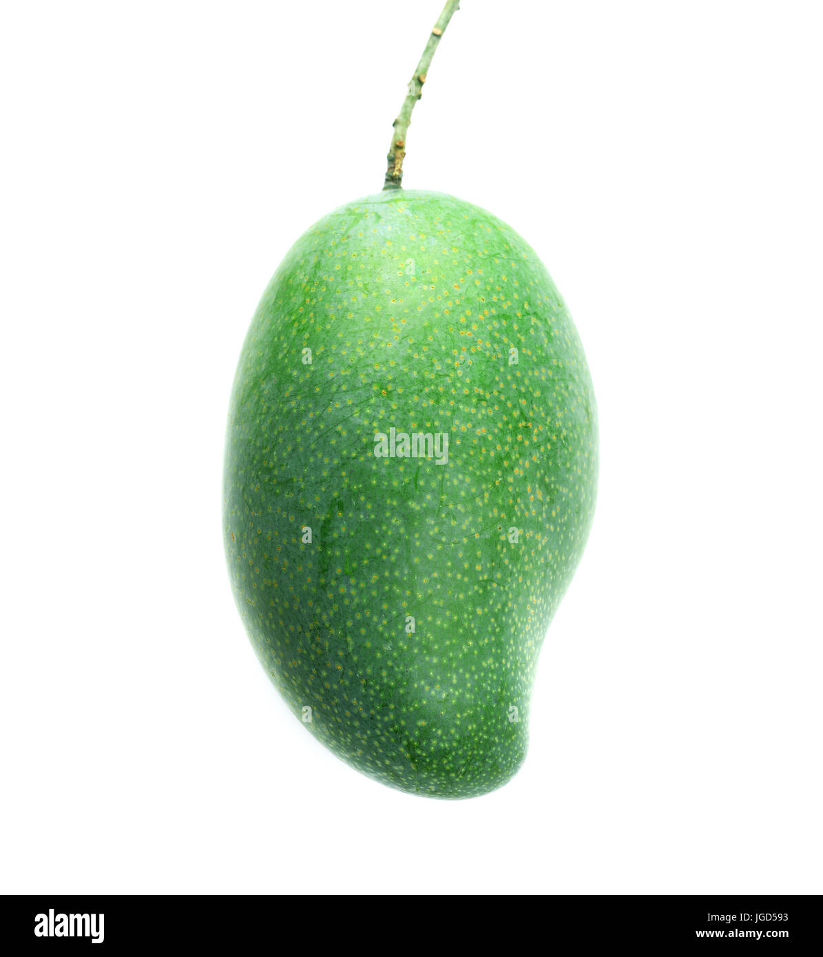 Green mango isolated on a white background Stock Photo - Alamy
