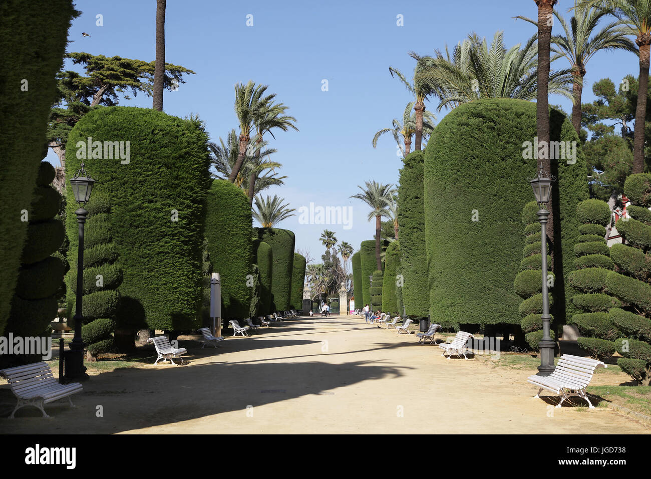 Parque genoves cadiz hi-res stock photography and images - Alamy
