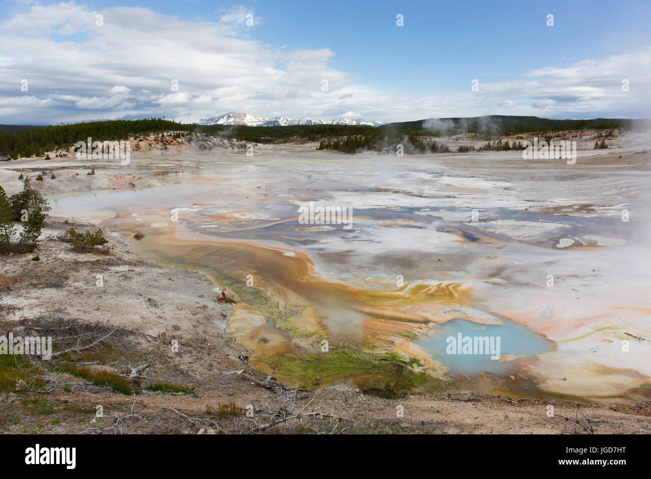 Hot springs in Porcelain Basin at Norris Geyser Basin in Yellowstone ...