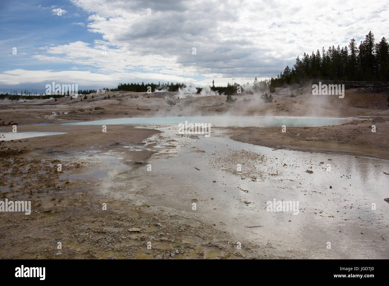 Hot springs in Porcelain Basin at Norris Geyser Basin in Yellowstone ...