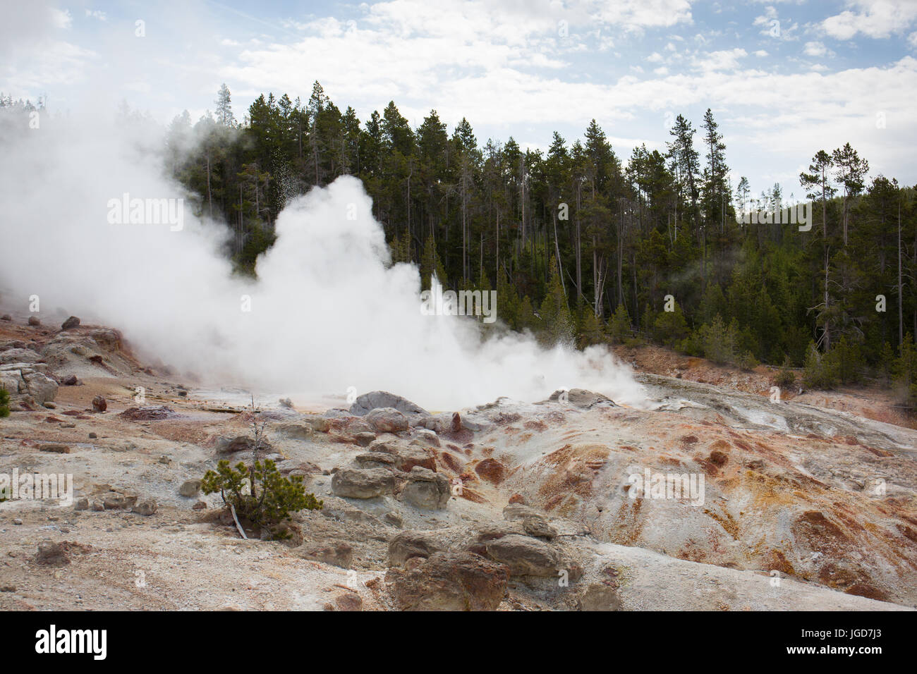 Steamboat Geyser at Norris Geyser Basin in Yellowstone National Park ...