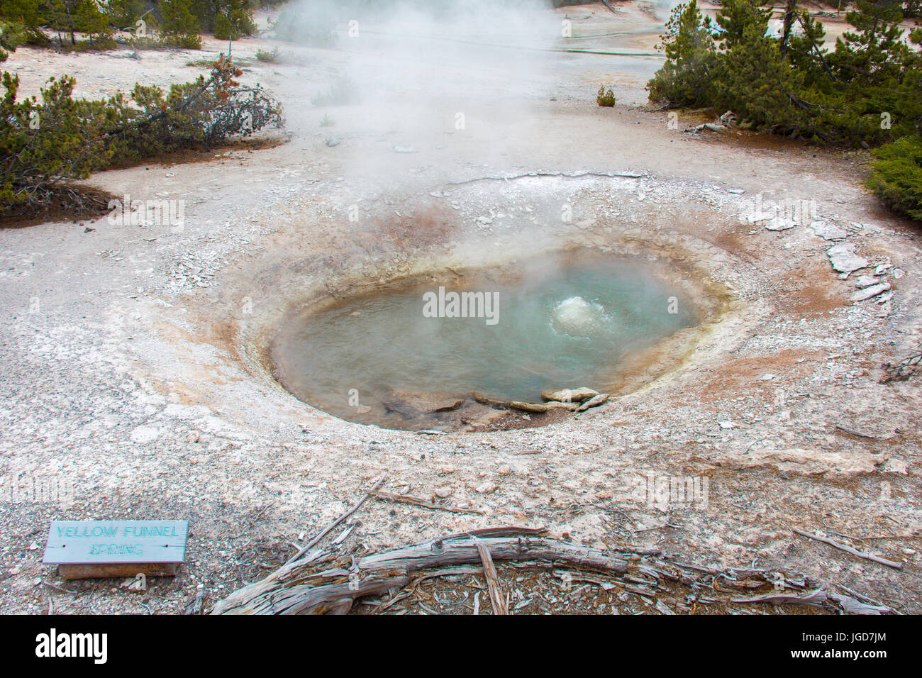 Yellow Funnel Spring, Back Basin, Norris Geyser Basin, Yellowstone ...