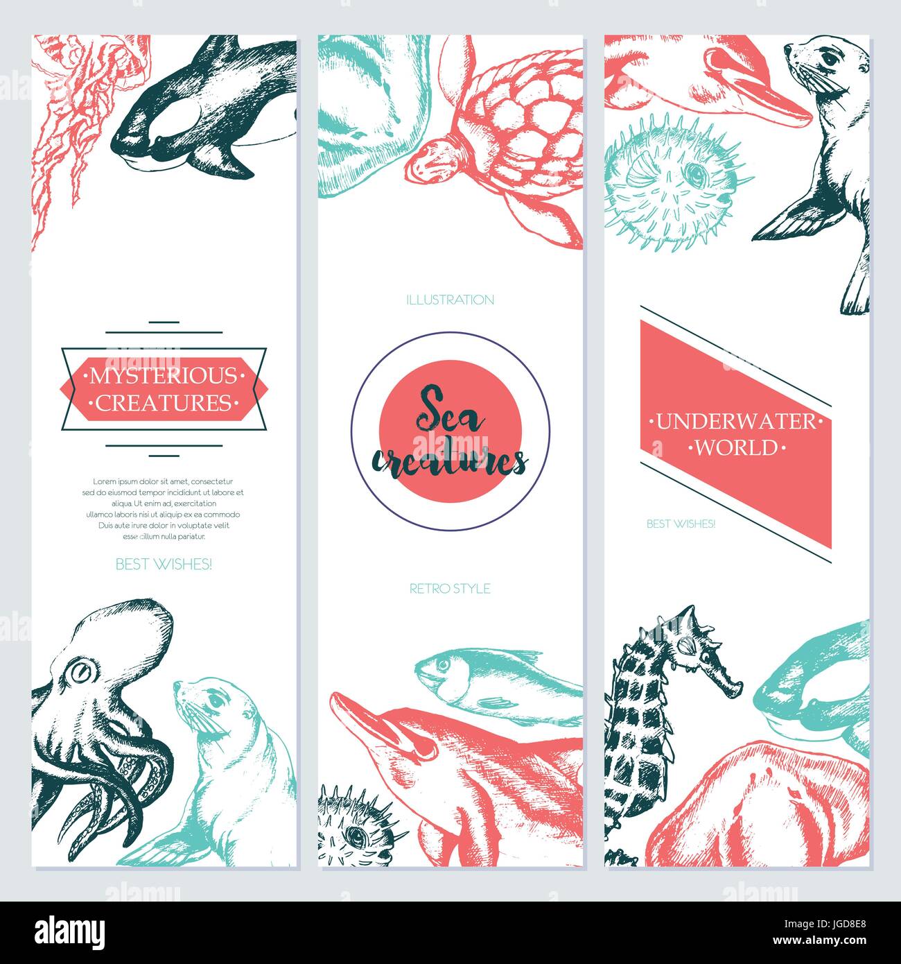 Sea Creatures - three piece color vector drawn square template banner ...