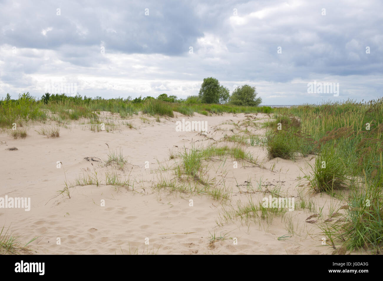 River lielupe in Latvia. 2017 Stock Photo - Alamy