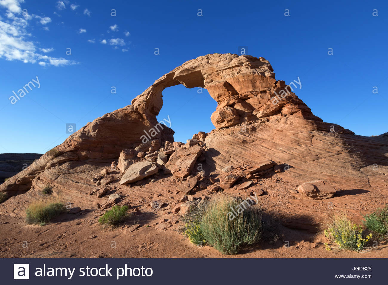 Arsenic Poison Stock Photos & Arsenic Poison Stock Images - Alamy