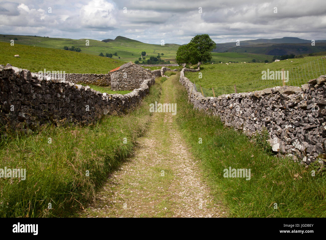Pennine Bridleway at Stainforth, near Settle, North Yorkshire Dales ...