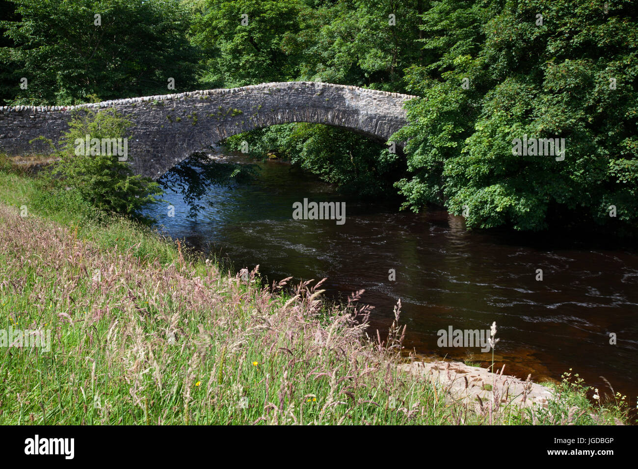 Stainforth Force Waterfalls and Bridge, near Settle, North Yorkshire ...