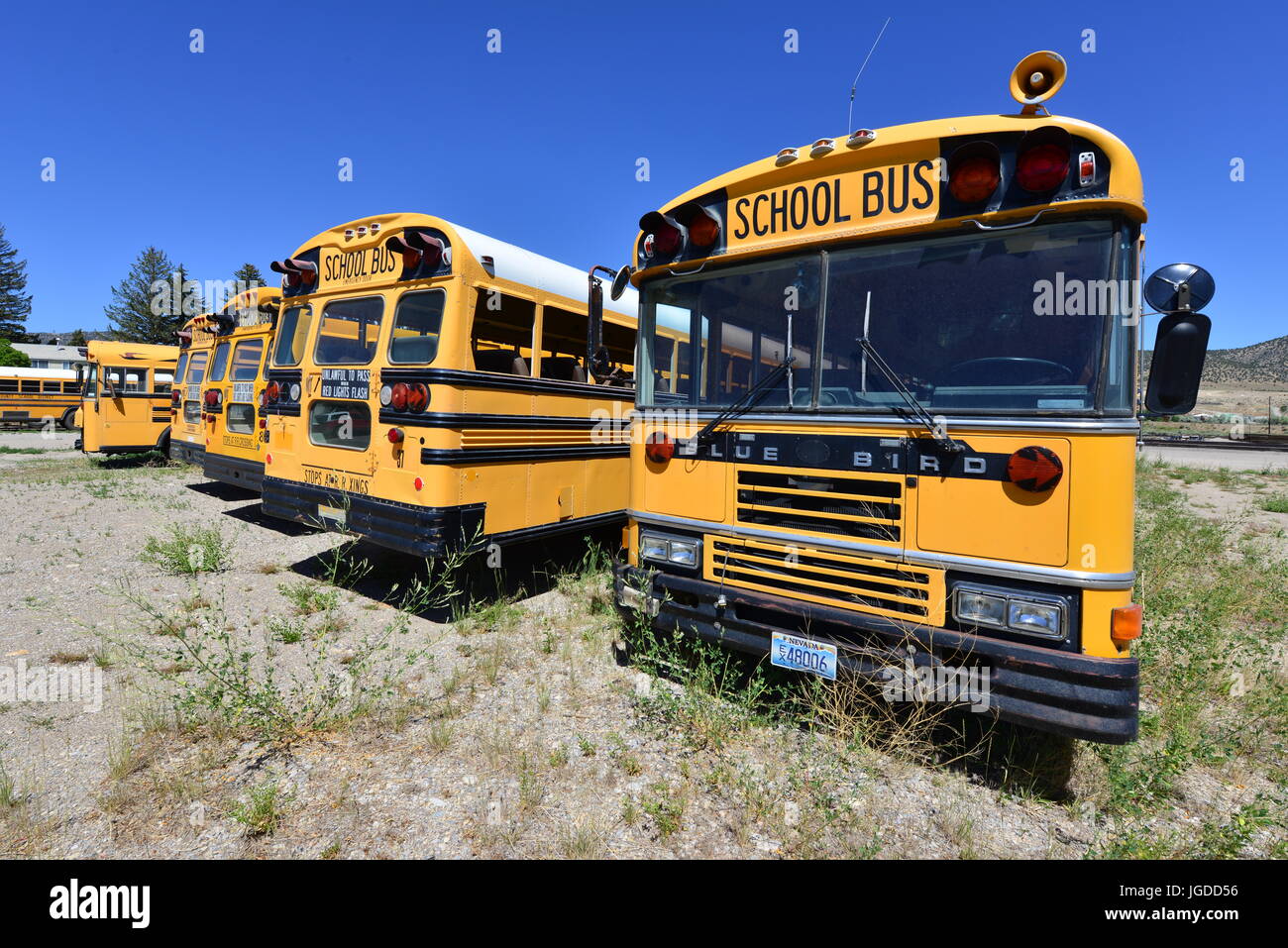 American school buses in a bus park Stock Photo - Alamy