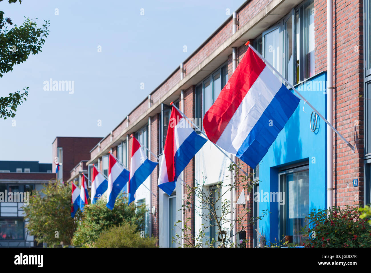 residential neighborhood with dutch flags hanging outside during a ...