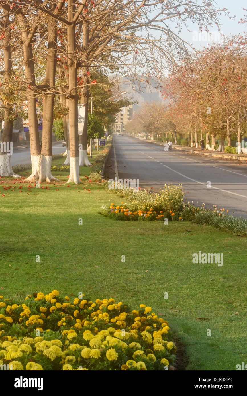 Flowers of pakistan hi-res stock photography and images - Alamy