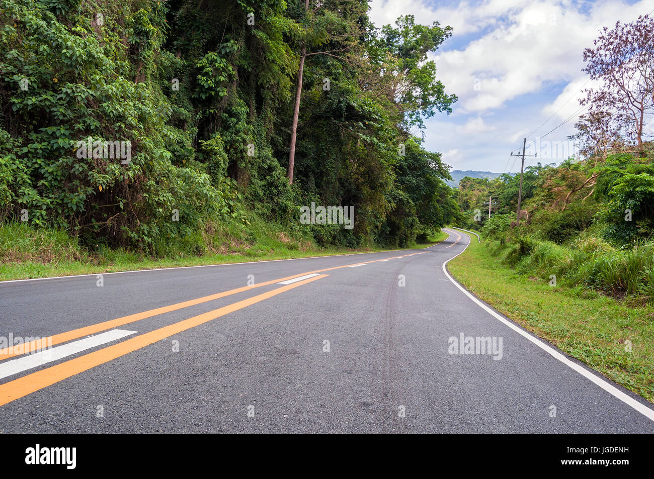 Winding asphalt road with markings beside forest Stock Photo - Alamy
