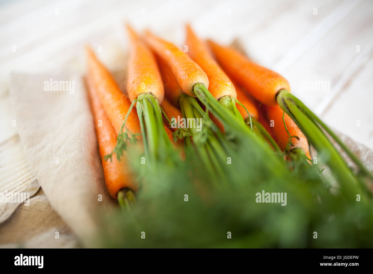 Carrot light hi-res stock photography and images - Alamy