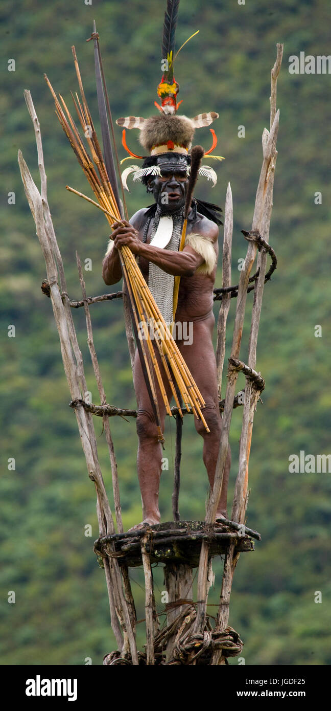 Warrior of dani tribe, baliem valley, hi-res stock photography and ...