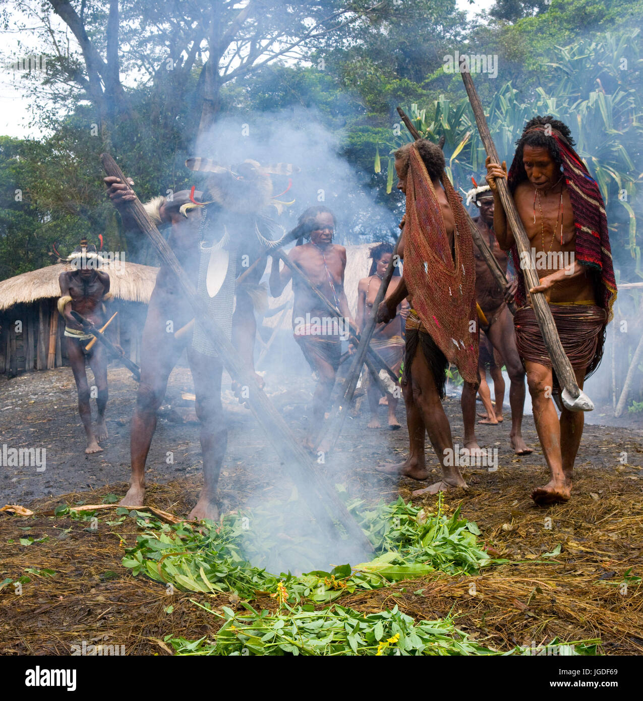 DANI VILLAGE, WAMENA, IRIAN JAYA, NEW GUINEA, INDONESIA – 25 JULY 2009 ...