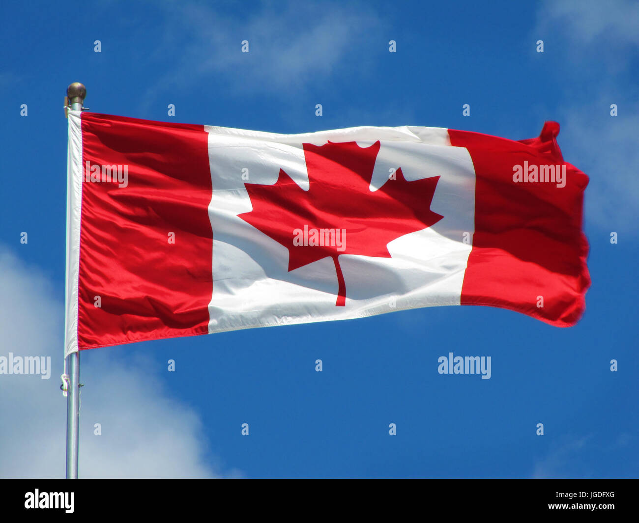 Canadian Maple Leaf Stock Photo - Alamy