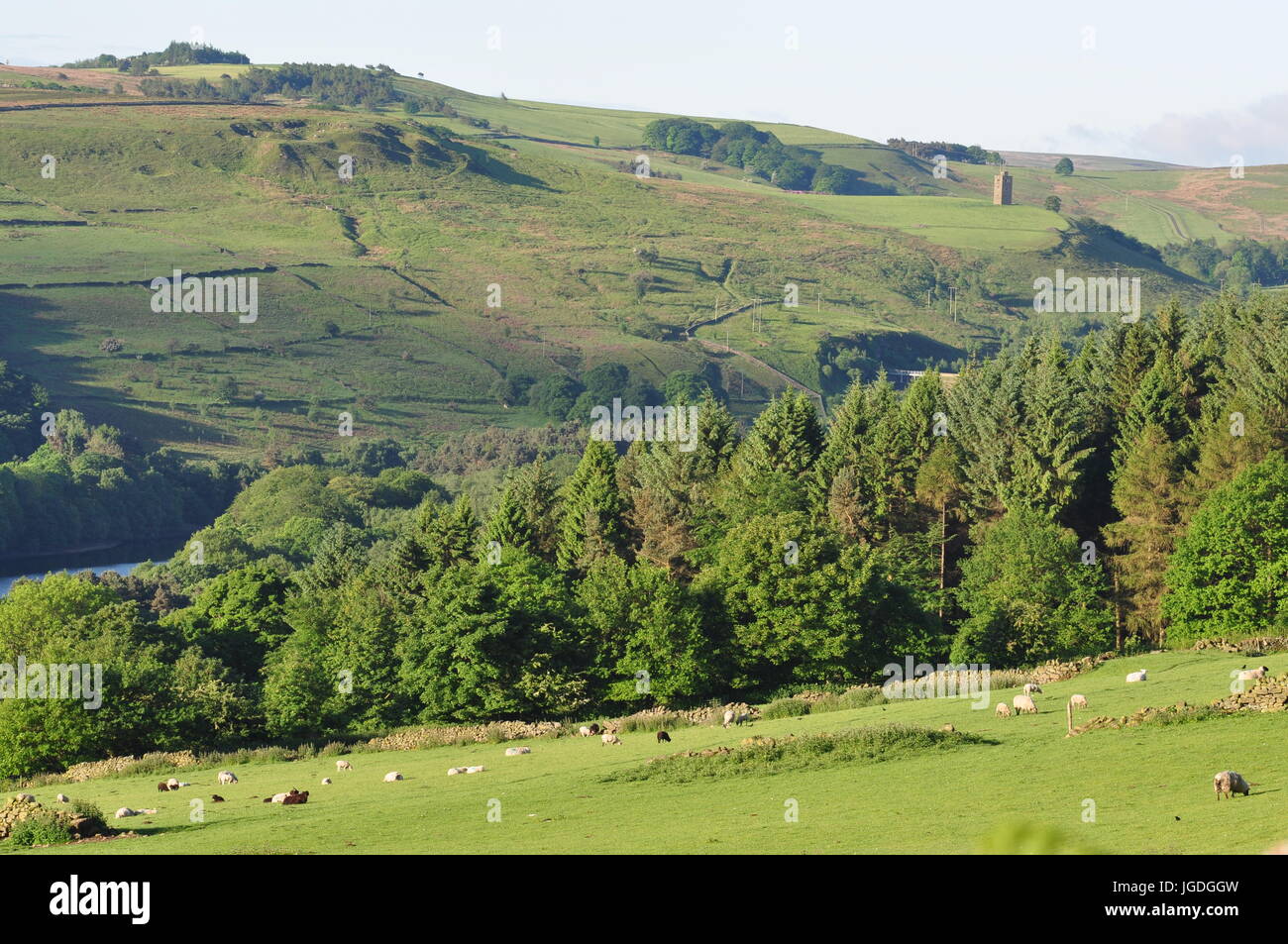 Bradfield hi-res stock photography and images - Alamy