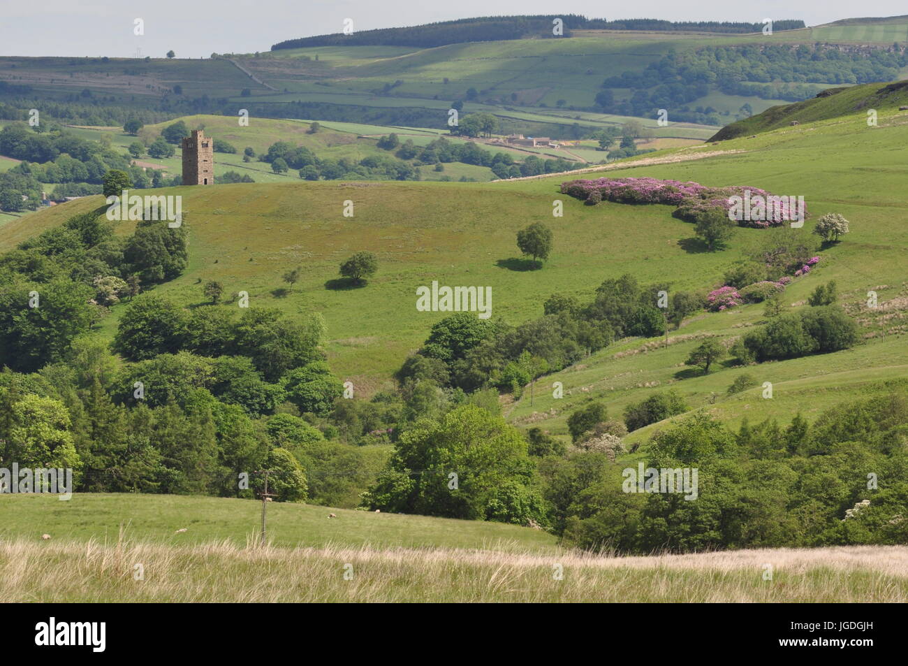 North-east from OS grid reference 222839 over Bradfield Moors with ...