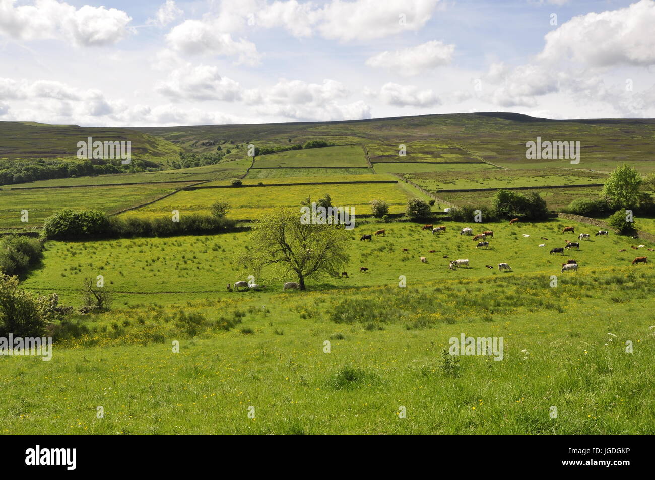 Os grid ref hi-res stock photography and images - Alamy