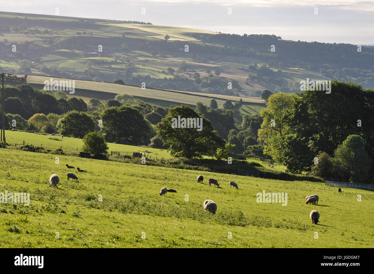 south-east from OS grid reference 235917, west of Low Bradfield and ...