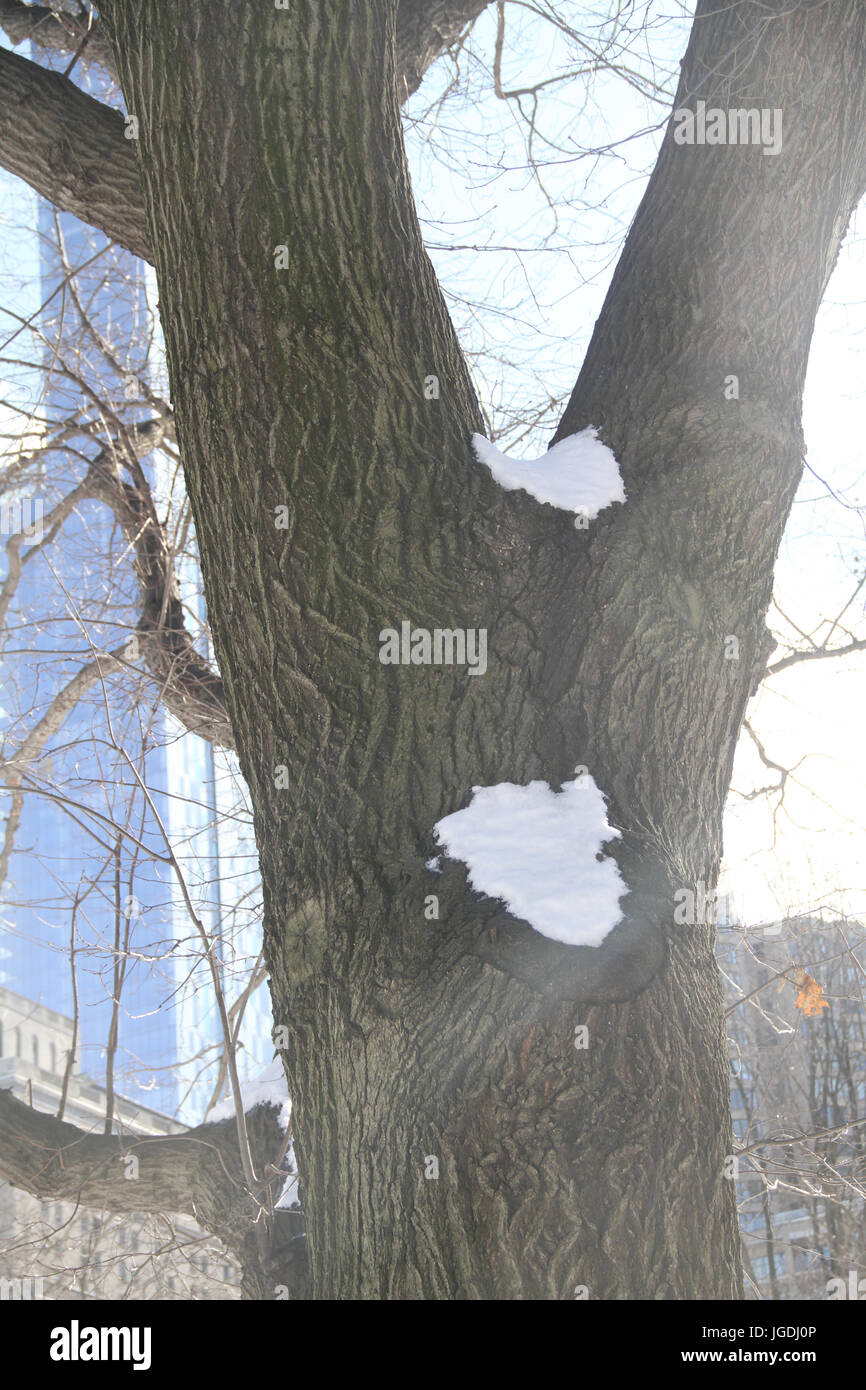 The central park effect hi-res stock photography and images - Alamy